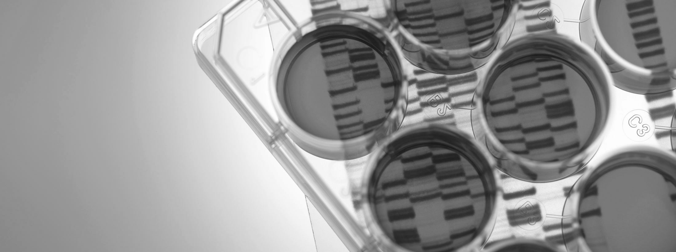 Life Sciences Blackstone