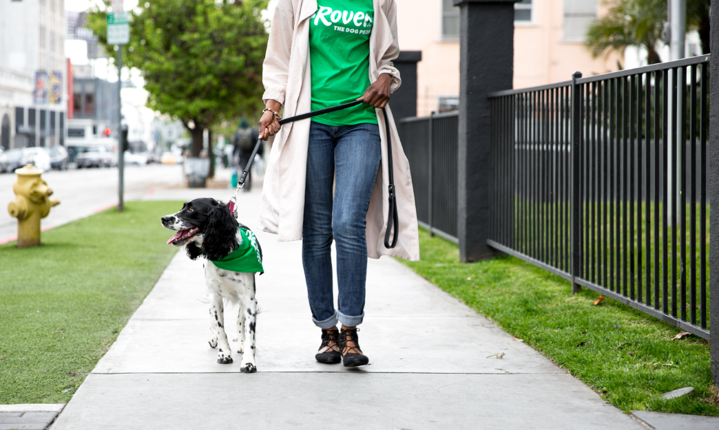 Blackstone Completes Acquisition of Rover - Blackstone